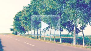 見てよかった動画まとめと感想（2019年5月） | ARAKAZE NOTE